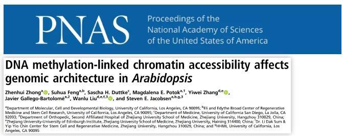 PNAS | 植物DNA甲基化调控的染色质开放性影响基因组三维空间结构 - 知乎