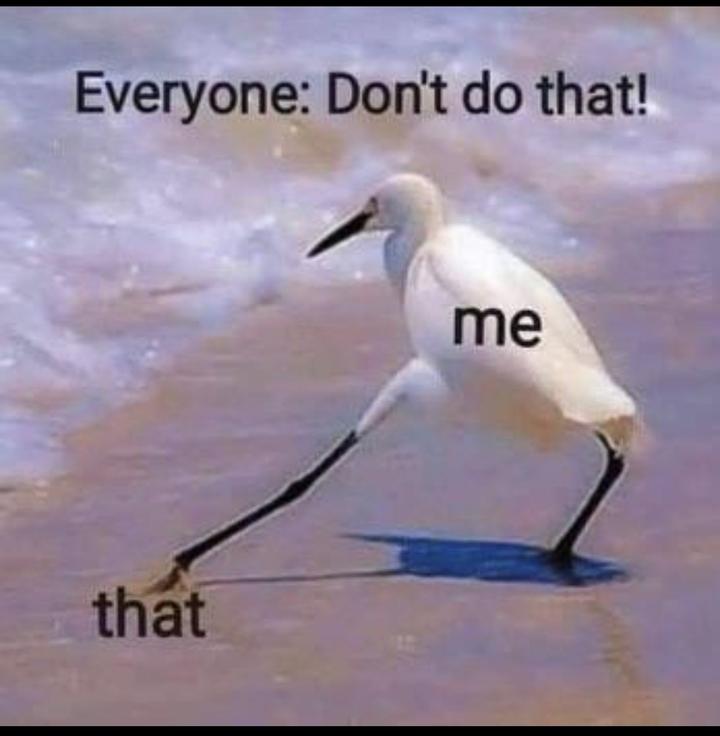 福布斯Top50 AI公司简析4: Character.Al - 知乎