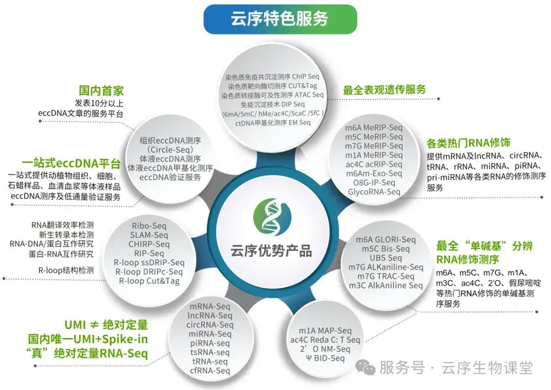 云序用户CDD IF 13.7|acRIP-tRNA-seq解析NAT10乳酰化促进致癌病毒KSHV复制中tRNA的ac4C修饰 - 知乎
