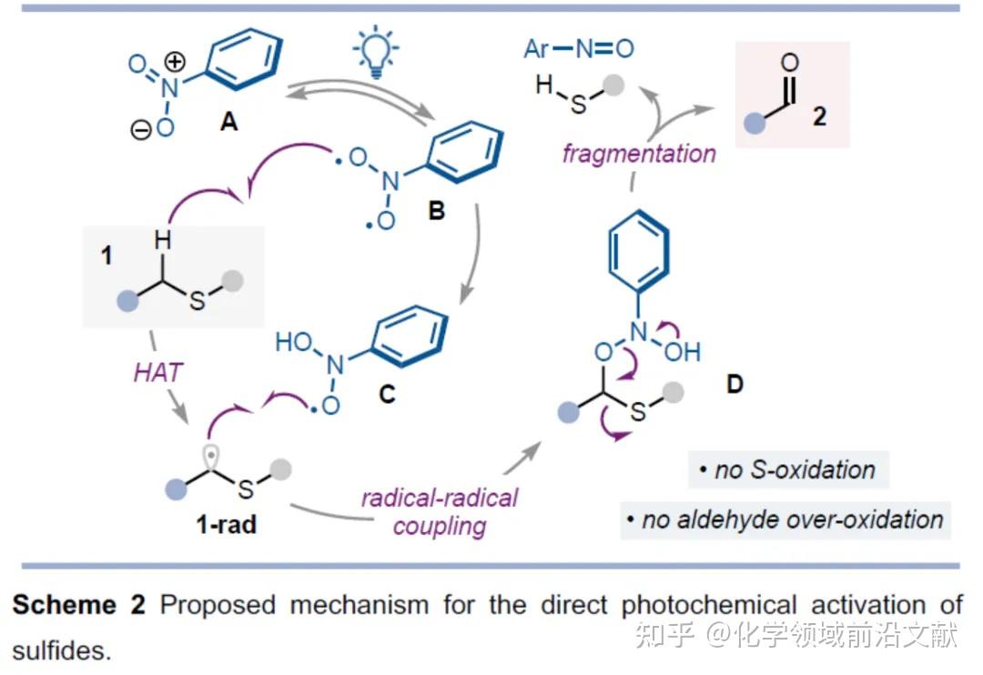 硫醚活化新策略Angew. Chem.：直接C-氧化，而非传统S-氧化 - 知乎