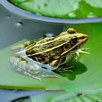 sard-uniapp组件库（typescript+vue3+vite+uniapp） - 知乎