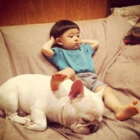 Hierarchical Z-Buffer Occlusion Culling到底该怎么做？ - 知乎