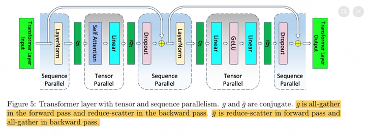 图解大模型训练系列：序列并行1，Megatron SP - 知乎