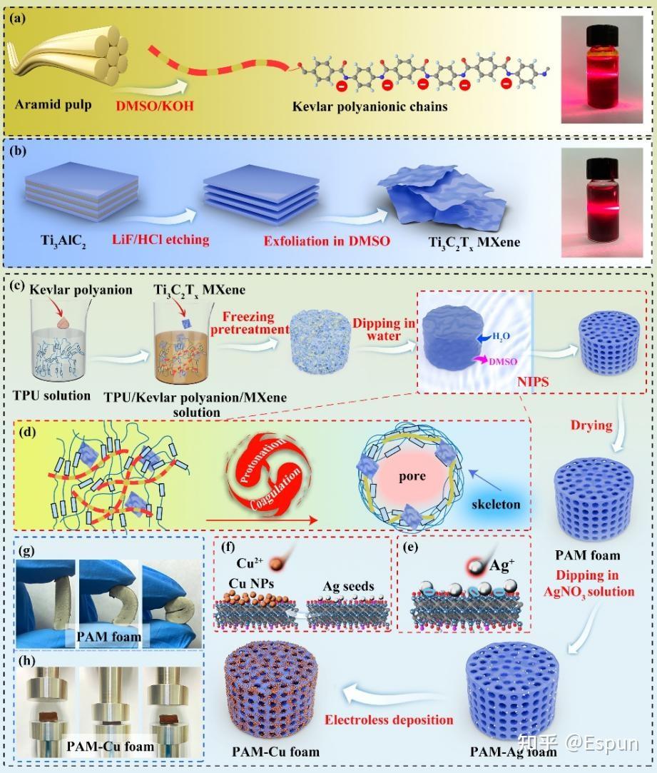 上海大学冯欣等：芳纶聚阴离子调控的高度有序TPU/ANF导电泡沫用于压阻传感和电磁屏蔽 - 知乎