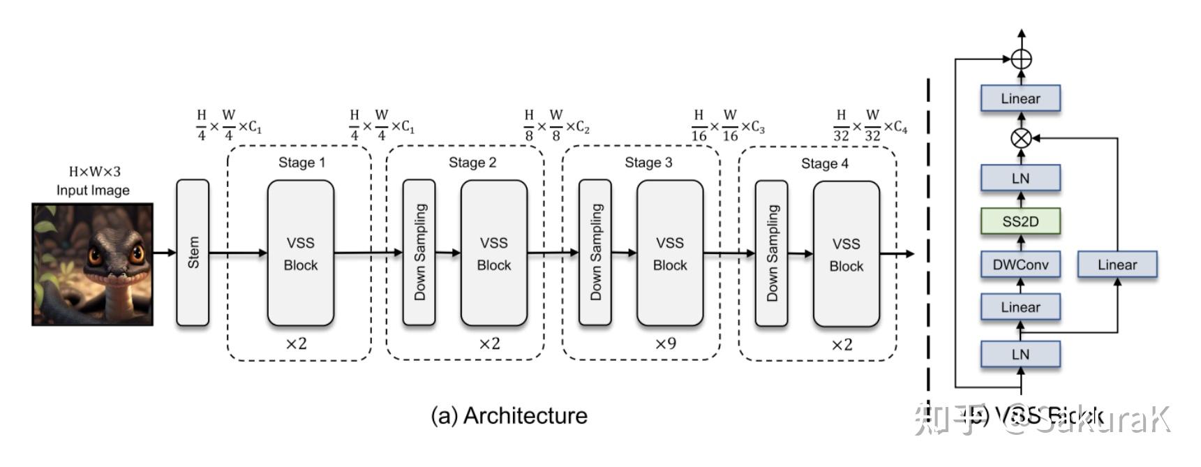 VMamba: Visual State Space Model 论文解读 - 知乎