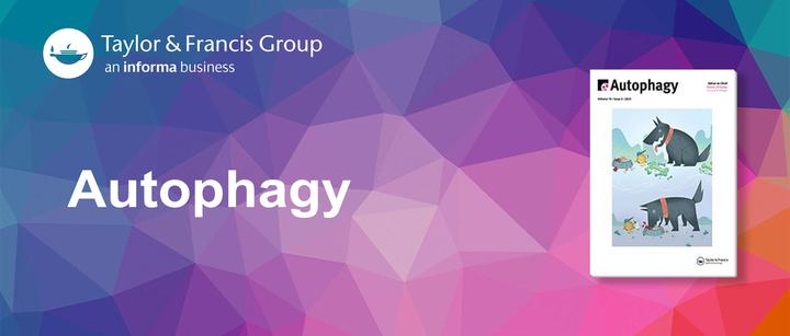 刊·见 | 双一区TOP期刊Autophagy，为您解读细胞自噬研究领域最新发现！ - 知乎