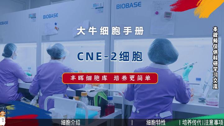 CNE-2细胞培养，人鼻咽癌细胞培养攻略 - 丰晖生物 - 知乎
