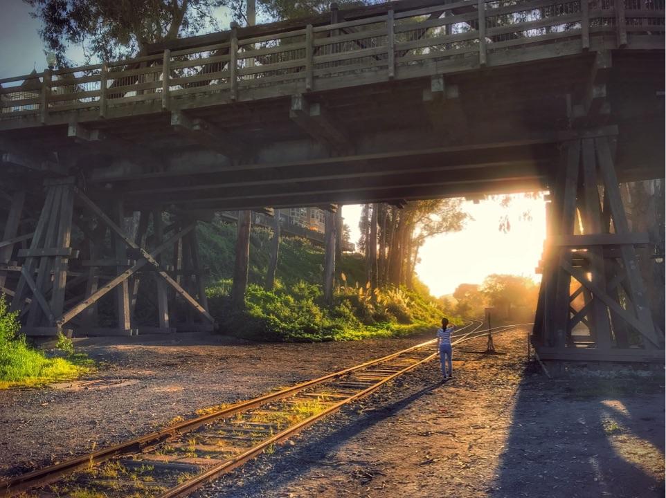 加州大学圣克鲁兹UCSC怎么样？ ？ - 知乎