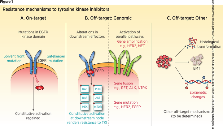 BBT-176，一种新的第四代酪氨酸激酶抑制剂，用于治疗非小细胞肺癌中奥希替尼耐药的EGFR突变 - 知乎