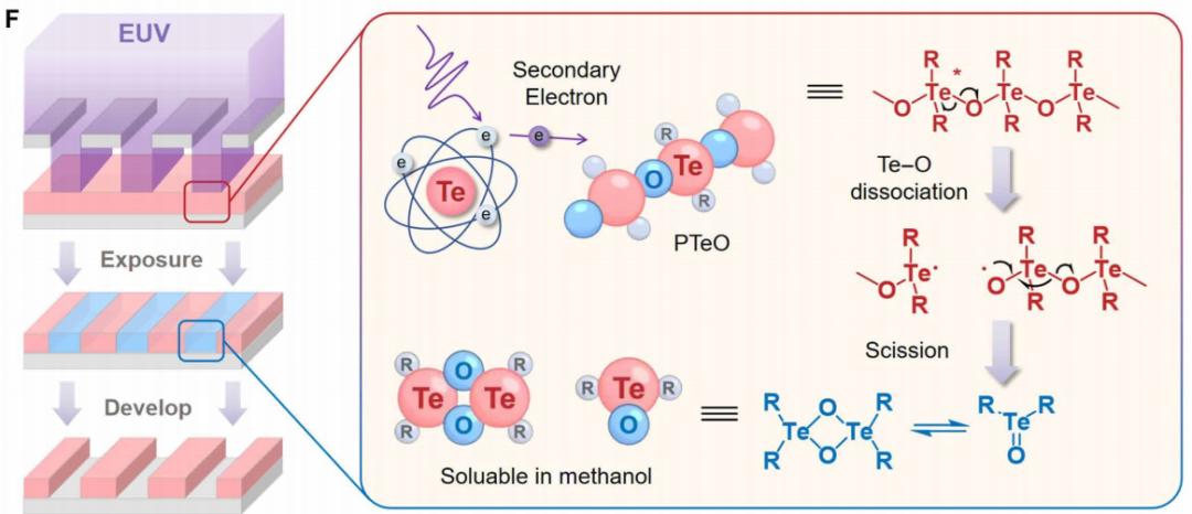 清华团队攻克EUV光刻胶瓶颈，用聚碲氧烷实现18nm线宽新纪录，为下一代EUV光刻胶设计奠定框架 - 知乎