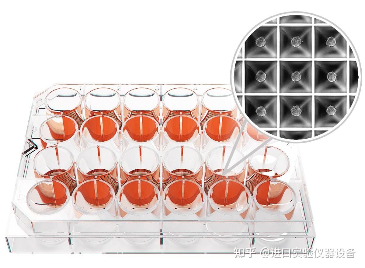 Sphericalplate 5D 高通量3D 细胞培养板/类器官培养 6/24 孔板 - 知乎