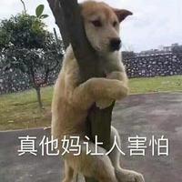 风控模型中的woe，iv，psi的计算和意义 - 知乎