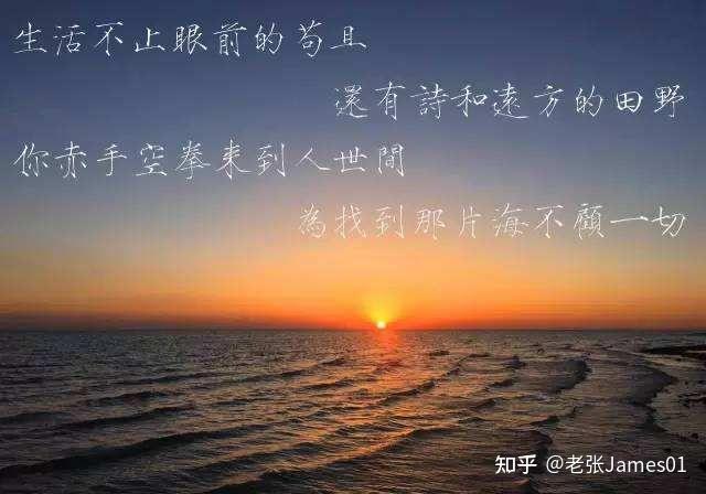 诗和远方是什么意思! 知乎