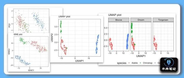 R实战| PCA、tSNE、UMAP三种降维方法在R中的实现 - 知乎