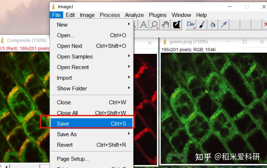 如何用imageJ做merge图? - 知乎