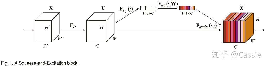 [论文笔记]SEnet以及对其改进的ECAnet - 知乎