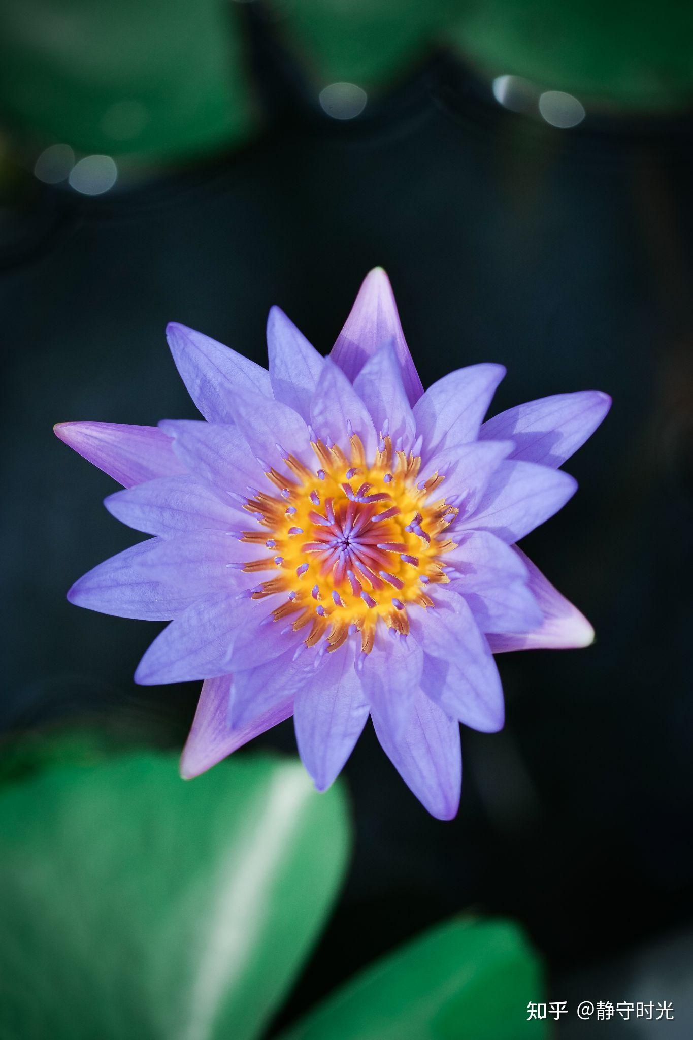 富士Xt5和索尼A7c2怎么选? - 知乎