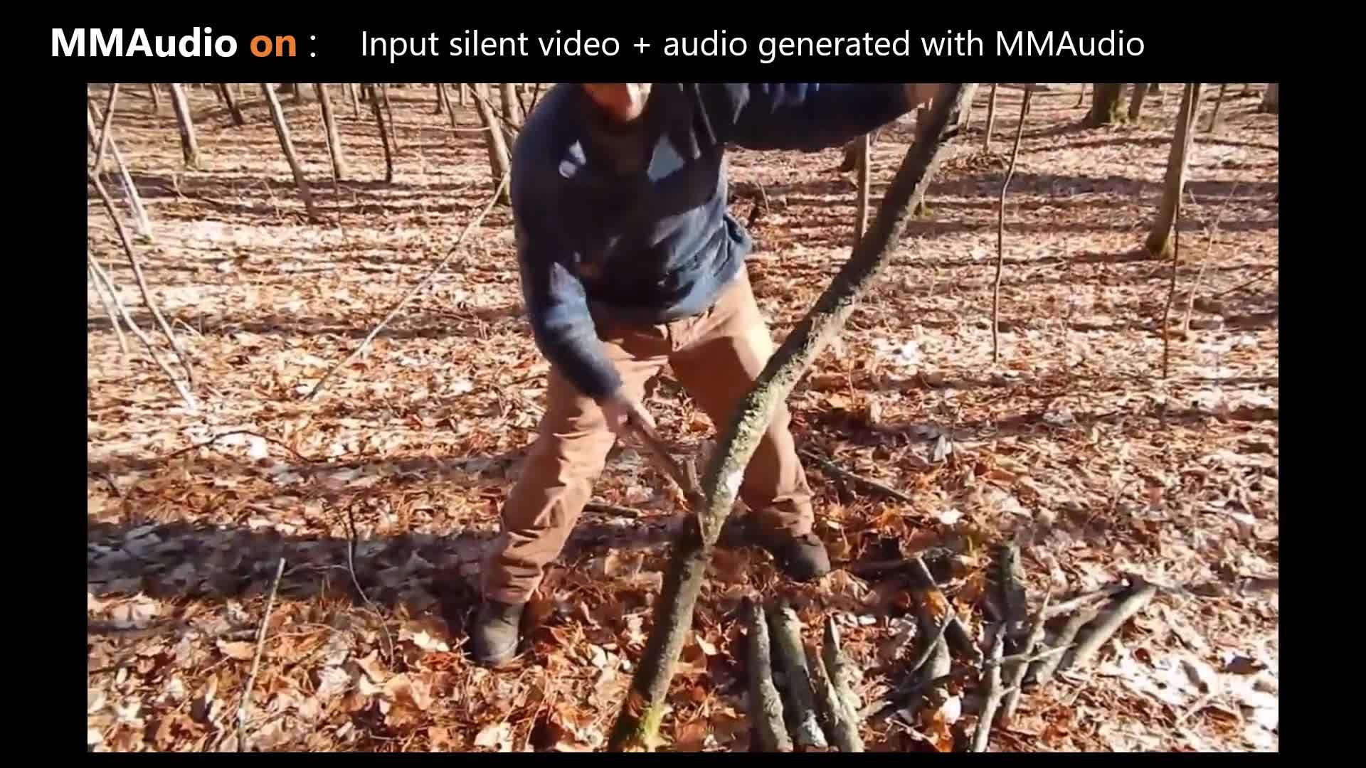 MMAudio：AI生成的视频终于有了声音！ - 知乎