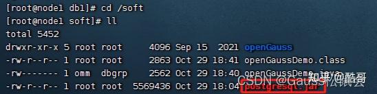 Linux环境下的Java（JDBC）连接openGauss数据库实践 - 知乎