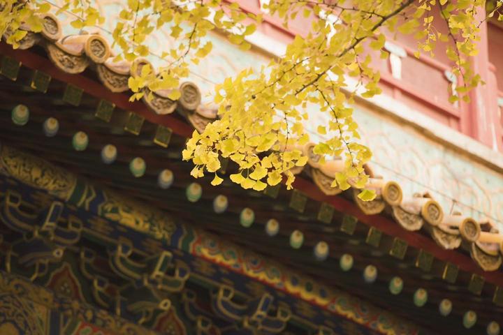 如何启用SAP Business by design里的Correction Invoice功能 - 知乎