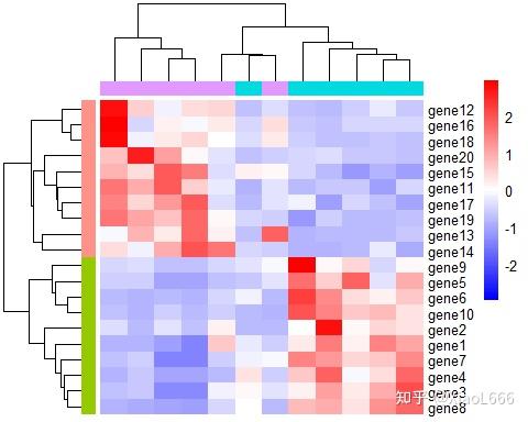 使用pheatmap包绘制热图 - 知乎