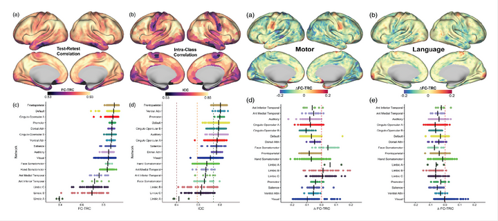 任务如何影响功能磁共振成像功能连接(fMRI-FC)的可靠性？ - 知乎