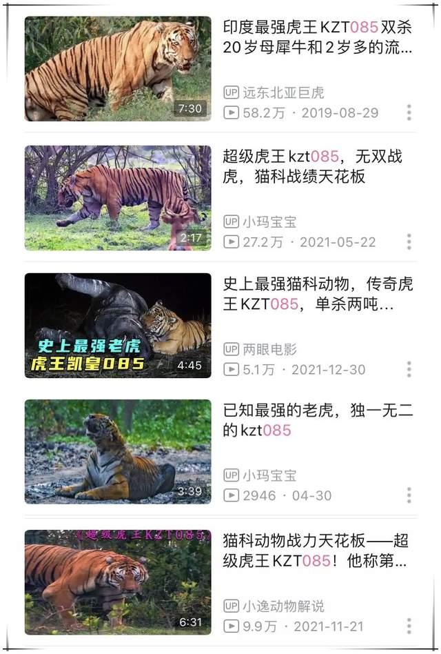 老虎KZT085杀犀牛事件的真实性如何？ - 知乎
