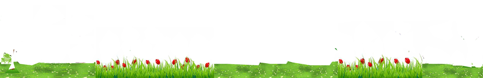 从引物设计到结果-全流程走完实时荧光定量PCR（qPCR）--技术篇 - 知乎