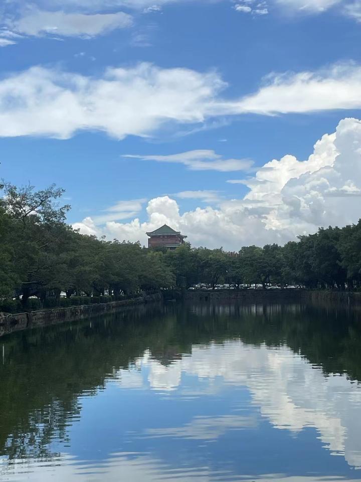 element-ui之Router数据传输 - 知乎