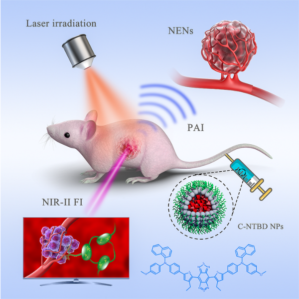 纳米探针 | 高亮度聚集诱导发射纳米点应用于精确光声/NIR-II荧光成像引导神经内分泌肿瘤和前哨淋巴结的切除 - 知乎