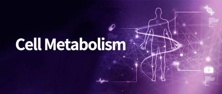 Cell Metab | 磷酸化修饰组揭示“饭前百步走”可缓解胰岛素抵抗 - 知乎