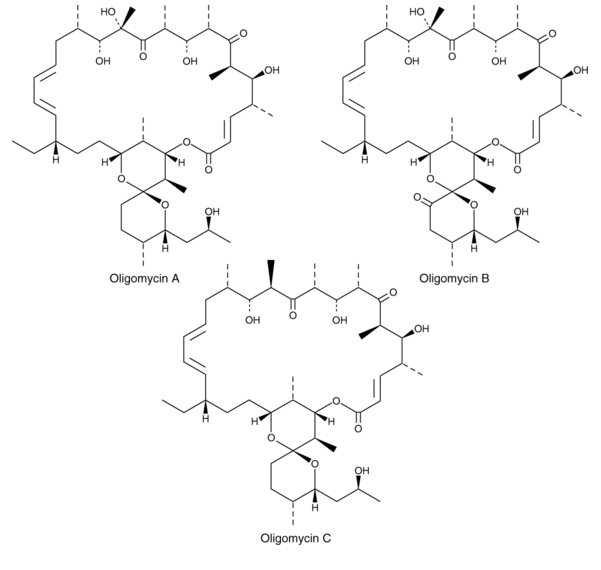 Oligomycin（寡霉素）；ATP合酶抑制剂 - 知乎