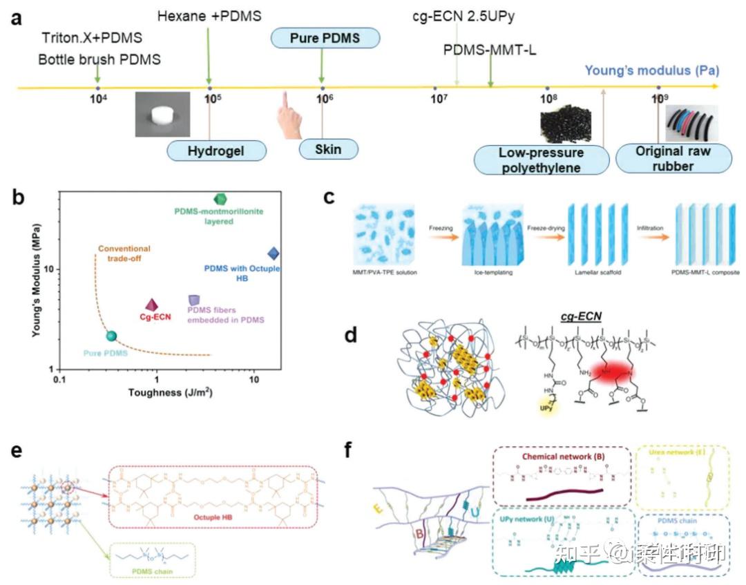柔性基底 PDMS 最新的那些事儿 - 知乎