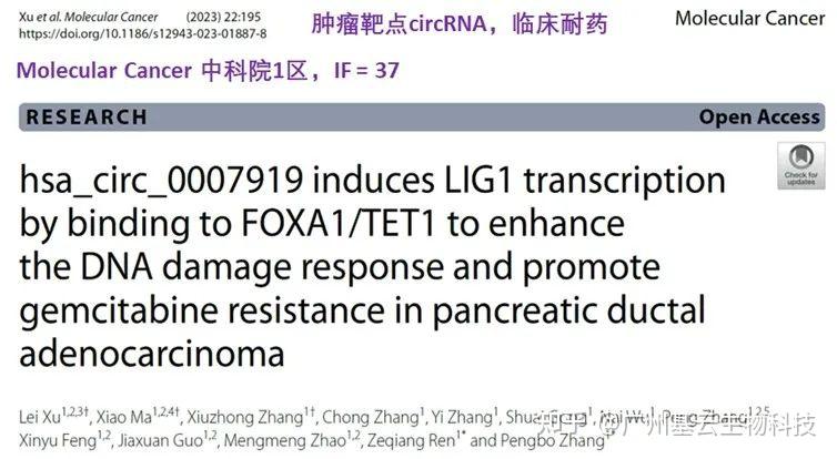 巧用IP/RIP/ChIP/ChIRP探究circRNA促进胰腺癌耐药的调控网络 - 知乎