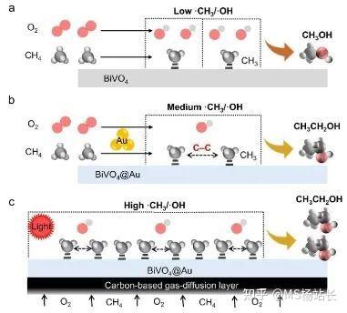 光催化！复旦郑耿锋/韩庆，Angew！ - 知乎