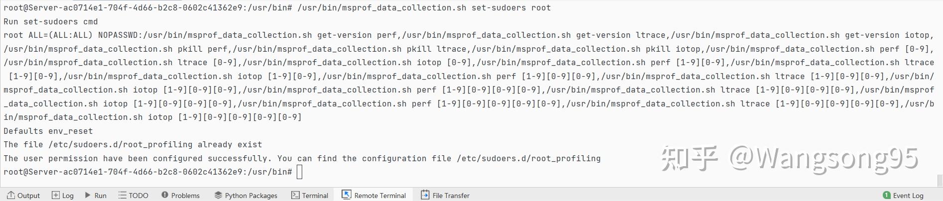 AscendCL应用使用Profiling工具进行性能调优 - 知乎