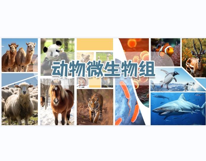 CRAMdb：动物微生物组的组成和功能综合数据库 - 知乎