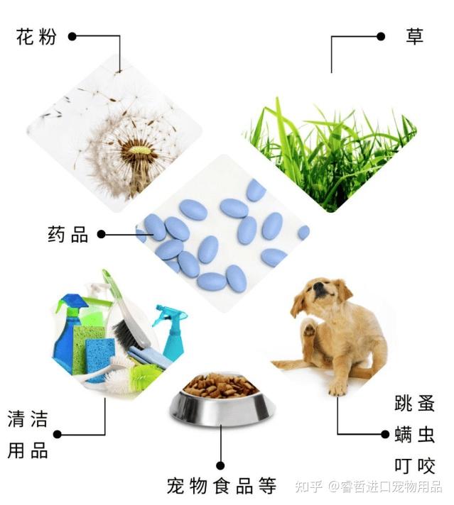 如何辨别皮肤过敏？ 知乎