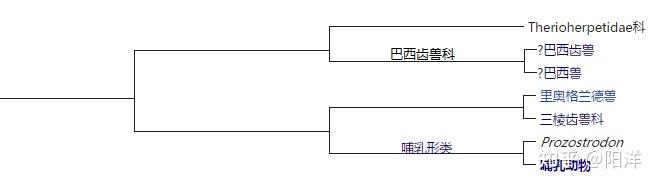 奇尼瓜齿兽 - 知乎