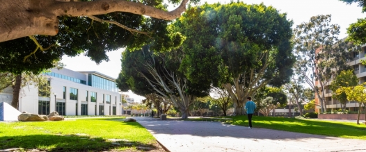 在加州大学系统中UCSB，UCSC，UCD和UCSD的强势专业分别是哪些？ - 知乎