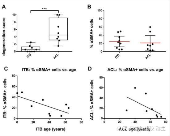 PGA Biofelt植入级无纺布ITB 成纤维细胞的迁移潜力可用于支架接种 - 知乎
