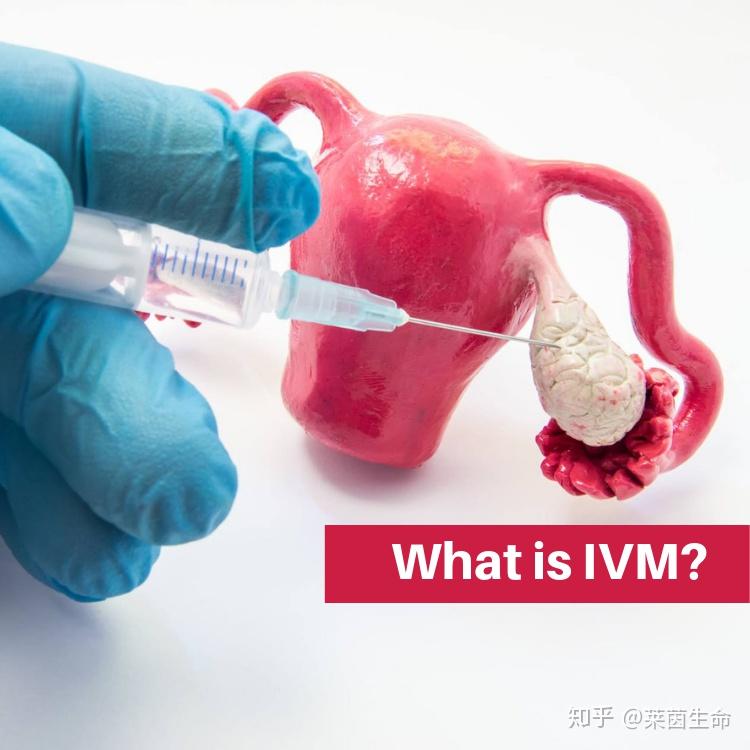 卵子成熟障碍患者IVM试管了解一下！ - 知乎