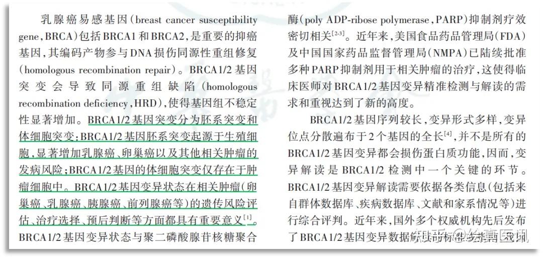 绘真科普丨答你所问，BRCA1/2基因胚系与体系突变，都是啥？咋检测…… - 知乎