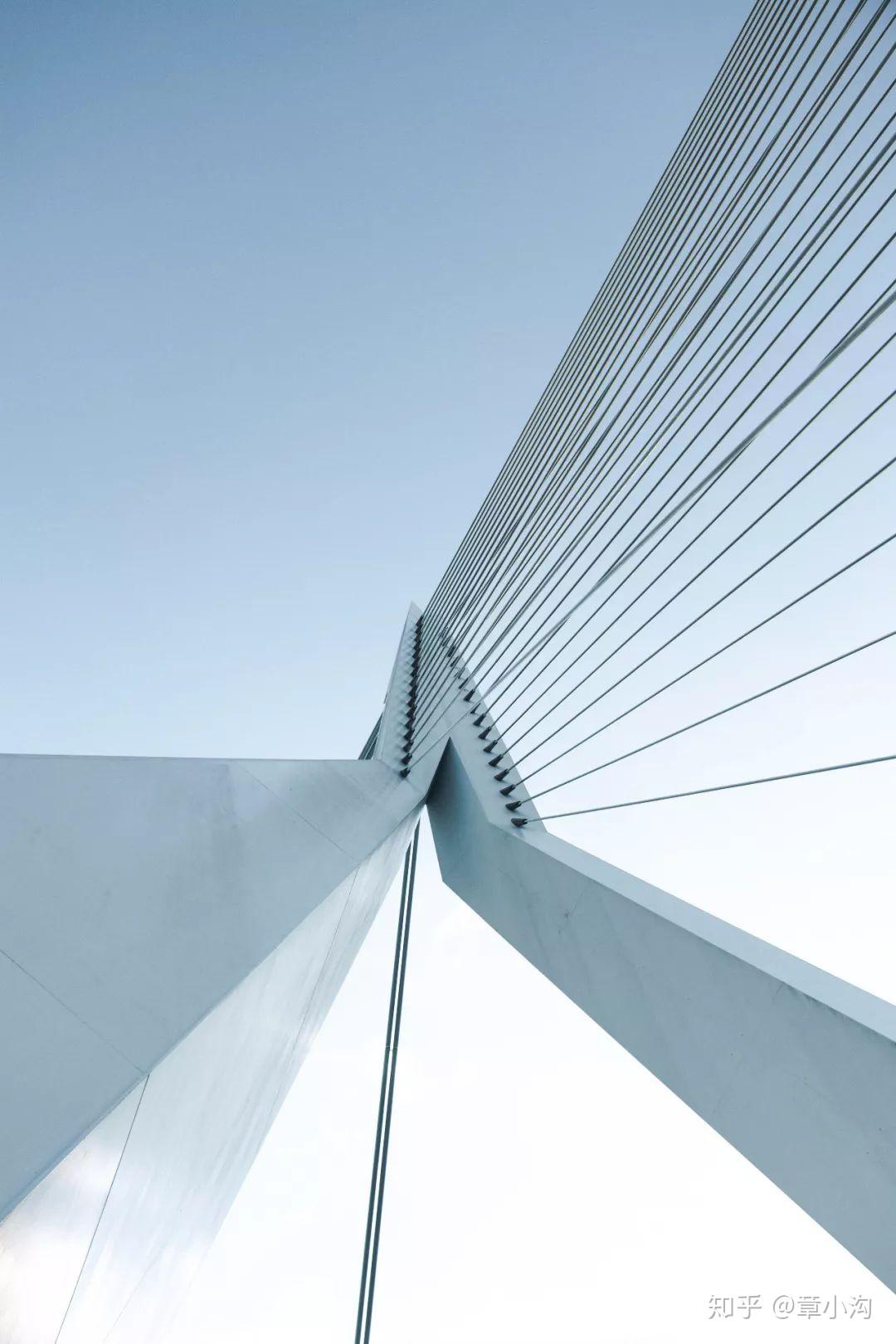 构图x构图 | Vertical Composition - 知乎