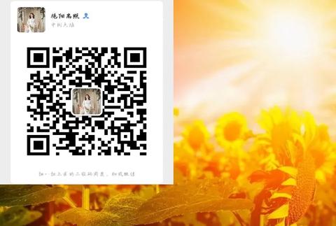 simulink Embedded Coder Dictionary - 知乎