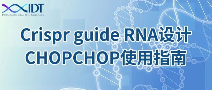 Crispr guide RNA设计——CHOPCHOP使用指南 - 知乎
