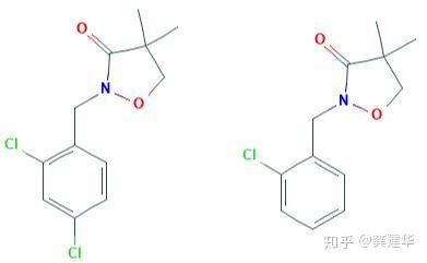 异噁草酮姊妹品种Bixlozone的专利布局 - 知乎