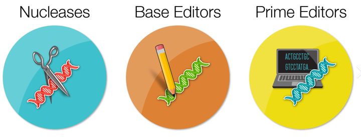 精确和高适用性基因编辑方法Prime Editor 综述介绍（2） - 知乎