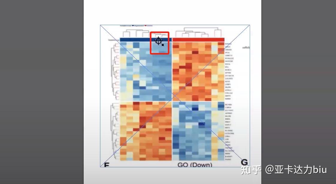 R语言热图美化pheatmap包（免费获取代码） - 知乎