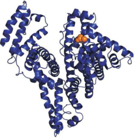 PAA-PEG-HSA 聚丙烯酸-聚乙二醇-人血清白蛋白，BSA/OVA偶联聚丙烯酸 - 知乎